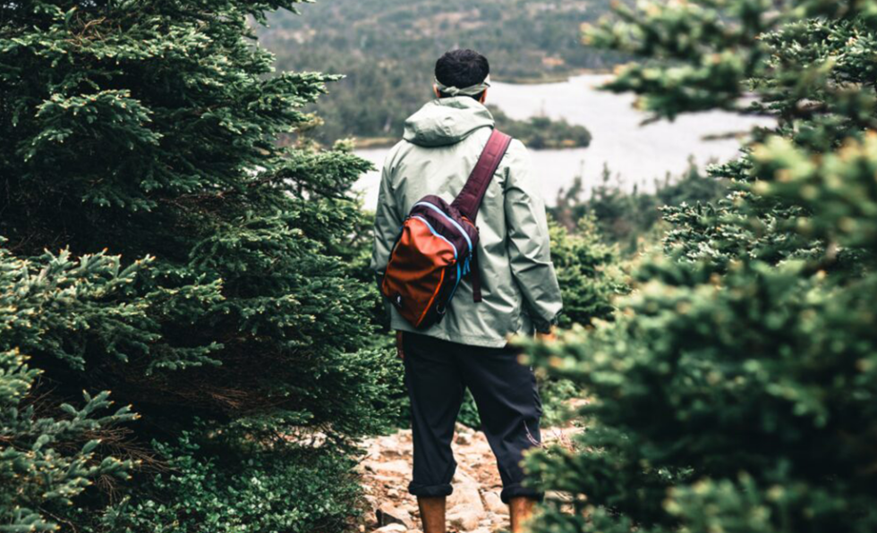 How It Works - Intelligence Catalyst